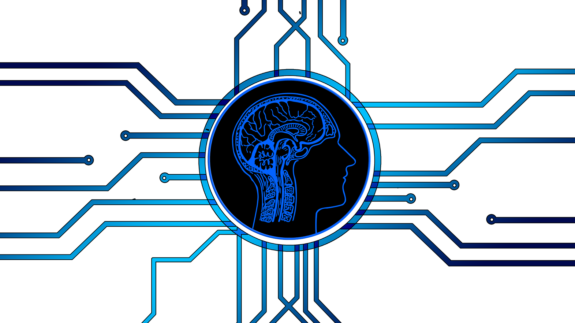 Computational Models Of Behavior Part 2 Rk